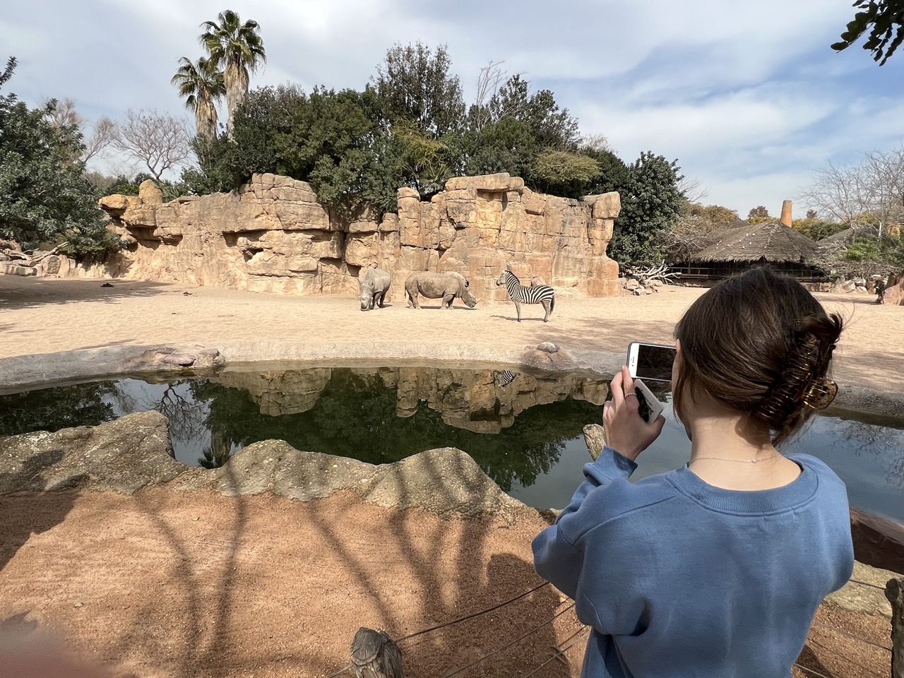 Valencia Zoo Review: Bioparc Valencia Review