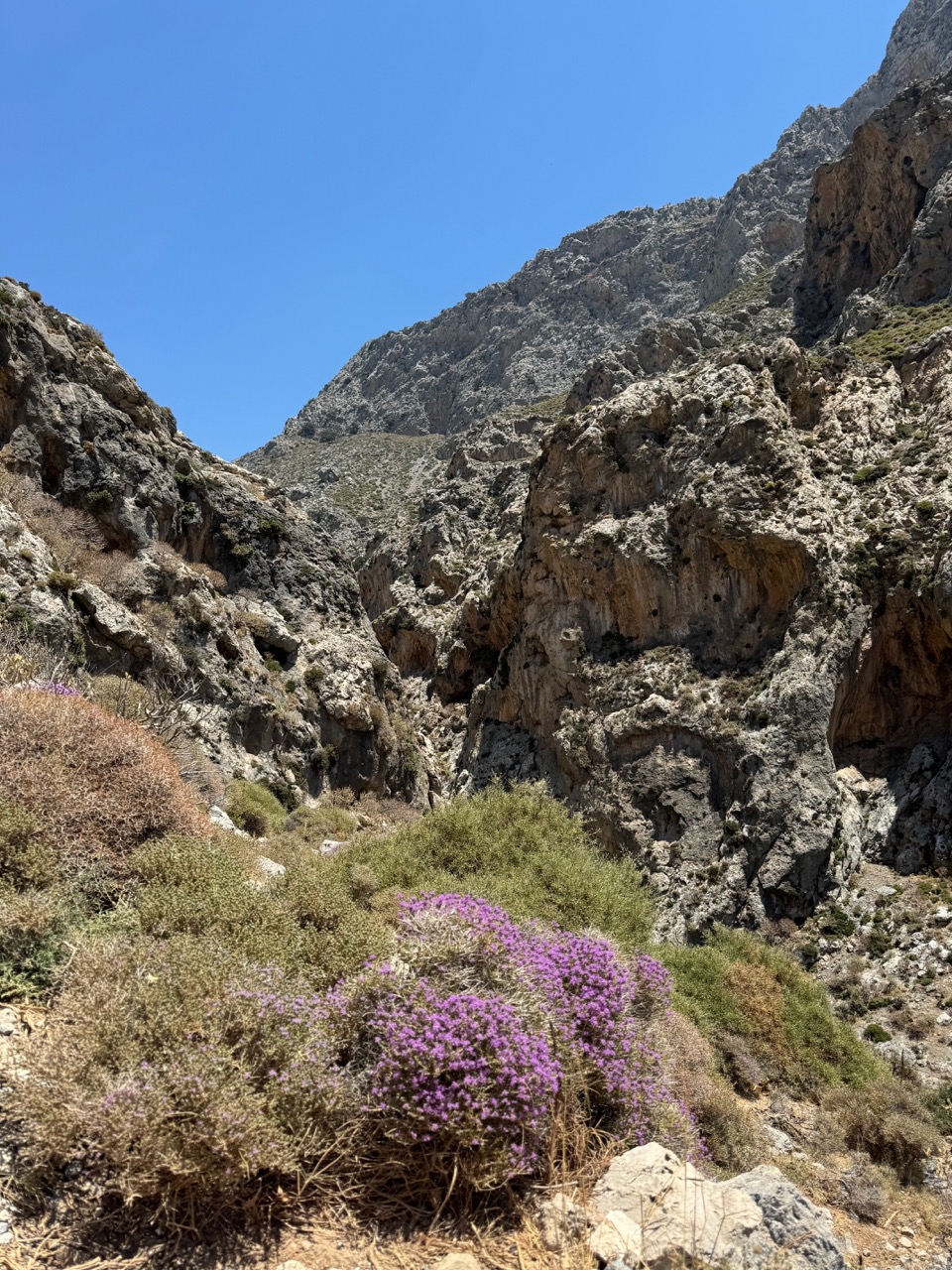 How to Find Kourtaliotiko Gorge Waterfall in Crete