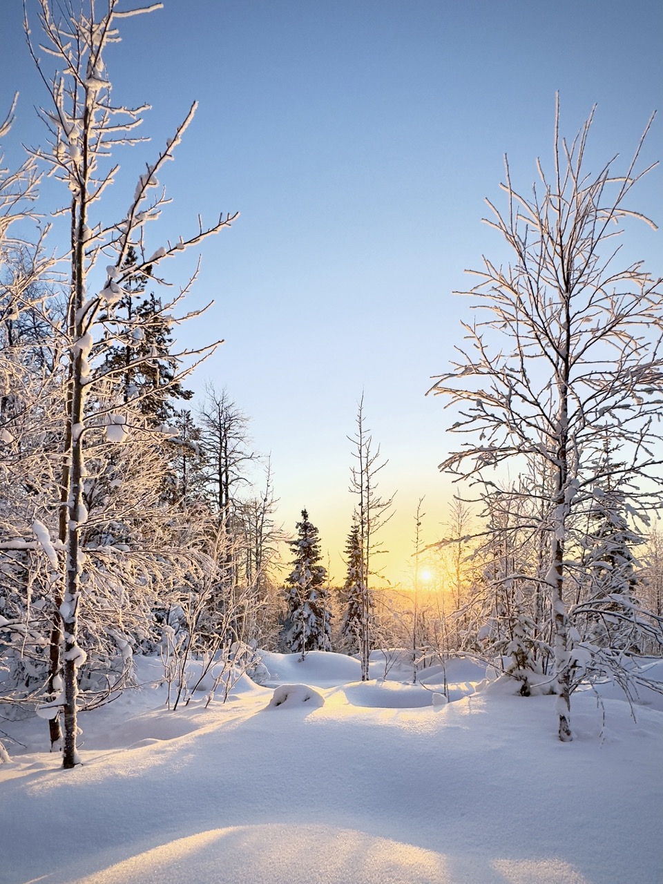 Ranua Resort Review: Detailed Review of Ranua Resort in Finland, Lapland