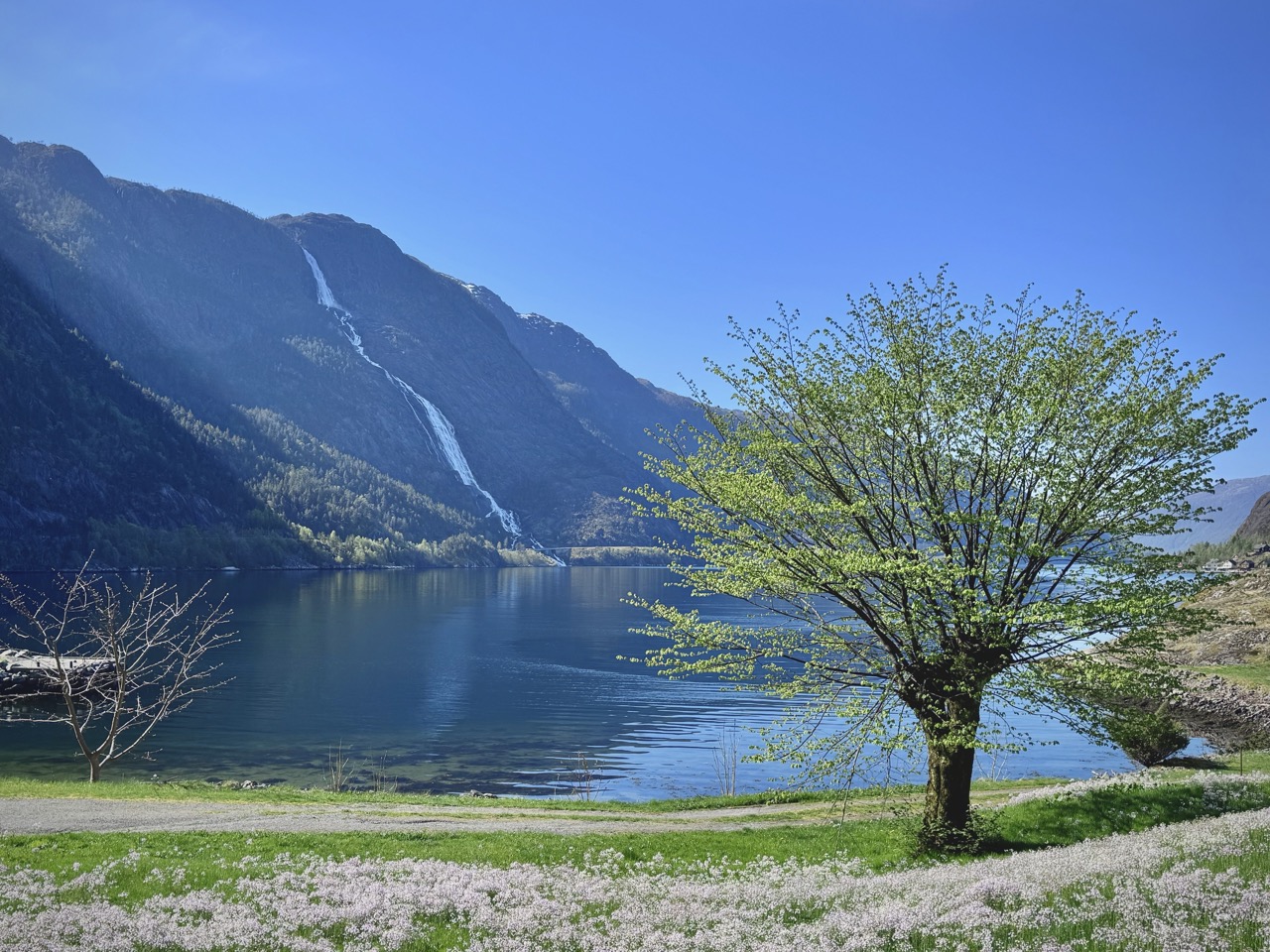 How to get to Langfoss Waterfall from Haugesund: Langfoss Waterfall ...